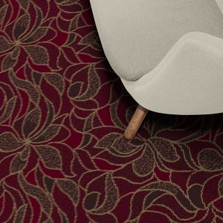 Stock Collections - Newhey Carpets