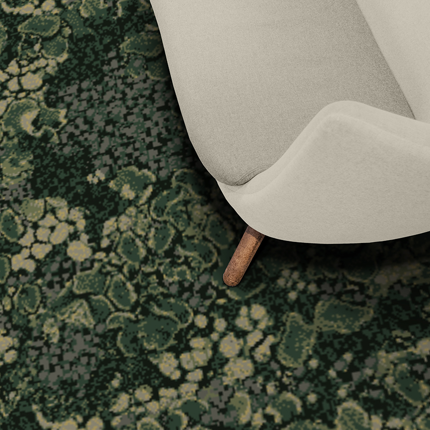 Express Search - Newhey Carpets